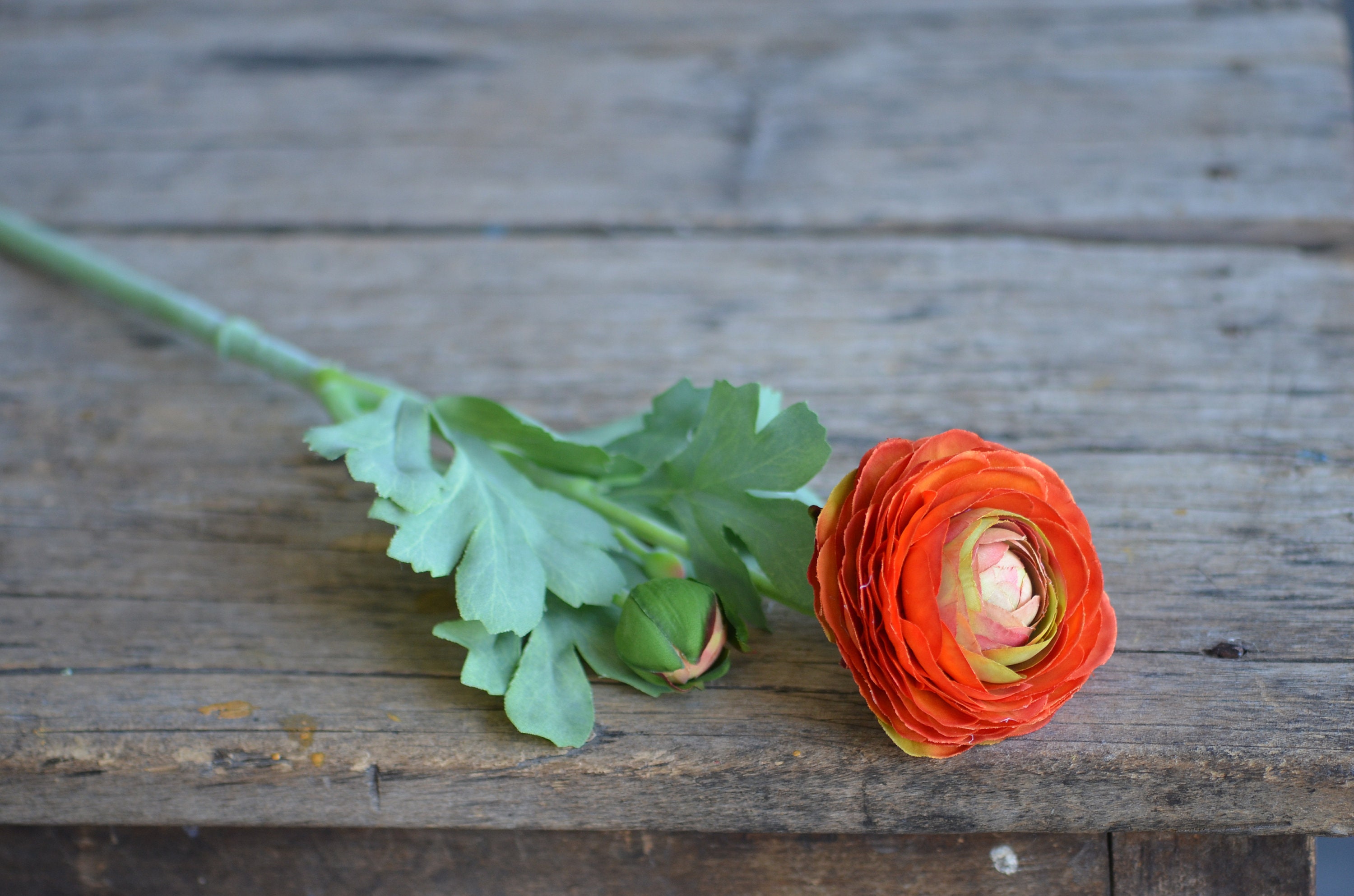 19 Artificial Ranunculus Soft Ranunculus Orange Pink - Etsy