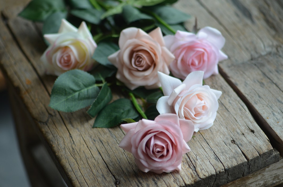 Different Shades of Pink Roses, Real Touch Artificial Roses in Pale ...