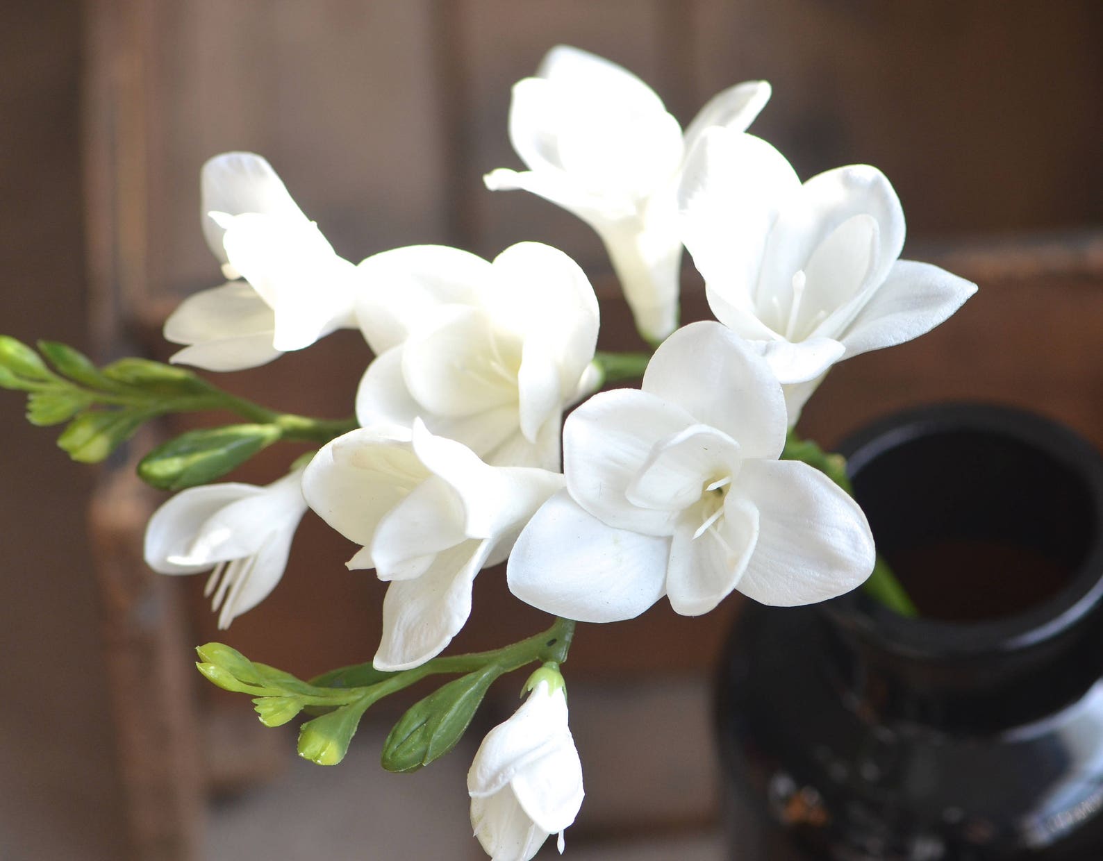 Ivory White Freesia Orchids Real Touch Flowers DIY Centerpieces ...