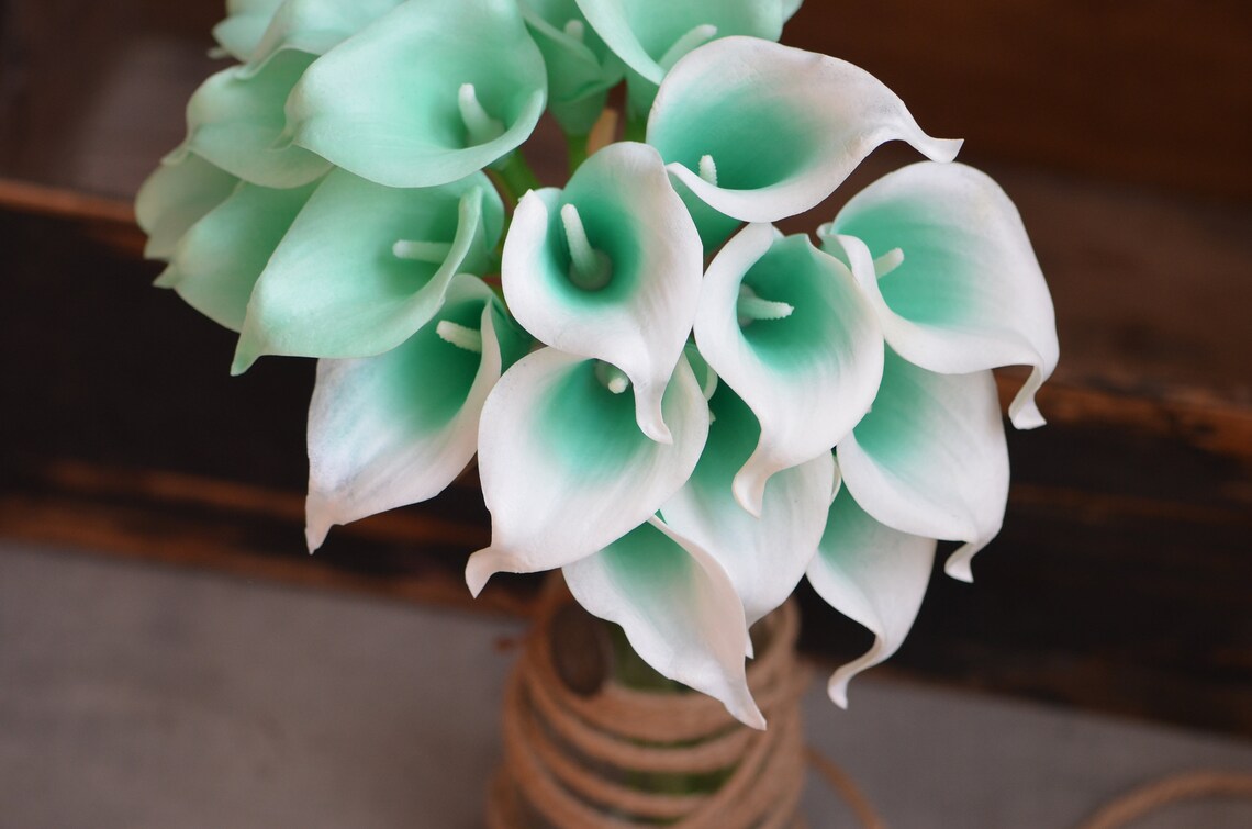 10 Mint Picasso Green Calla Lilies Real Touch Flowers DIY | Etsy