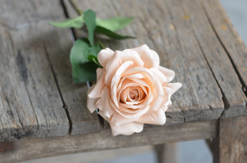 Morandi Pink Roses Vintage Tan Beige Garden Roses Real Touch - Etsy