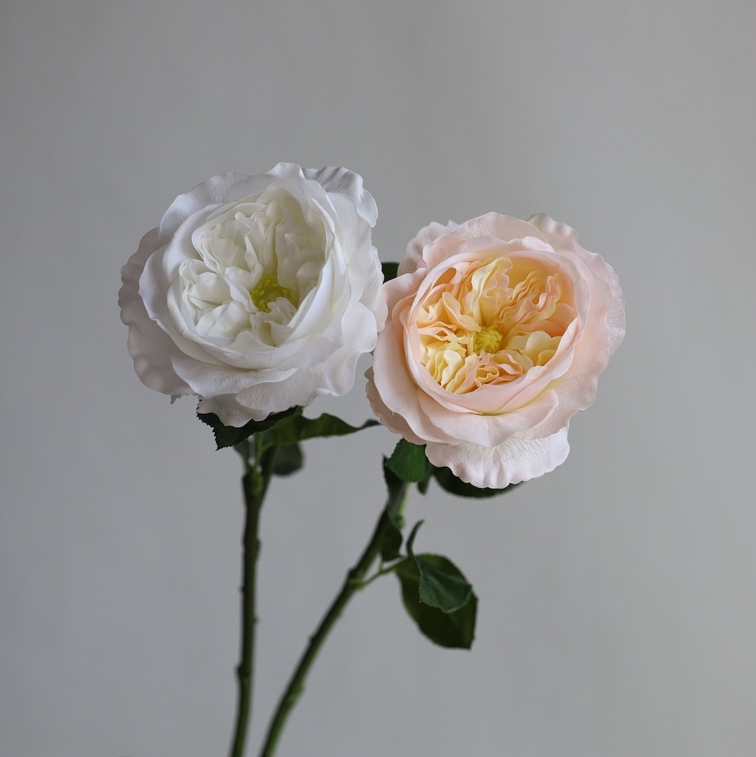 21.6” Fake Large Real Touch English Cabbage Roses-white/champagne ...