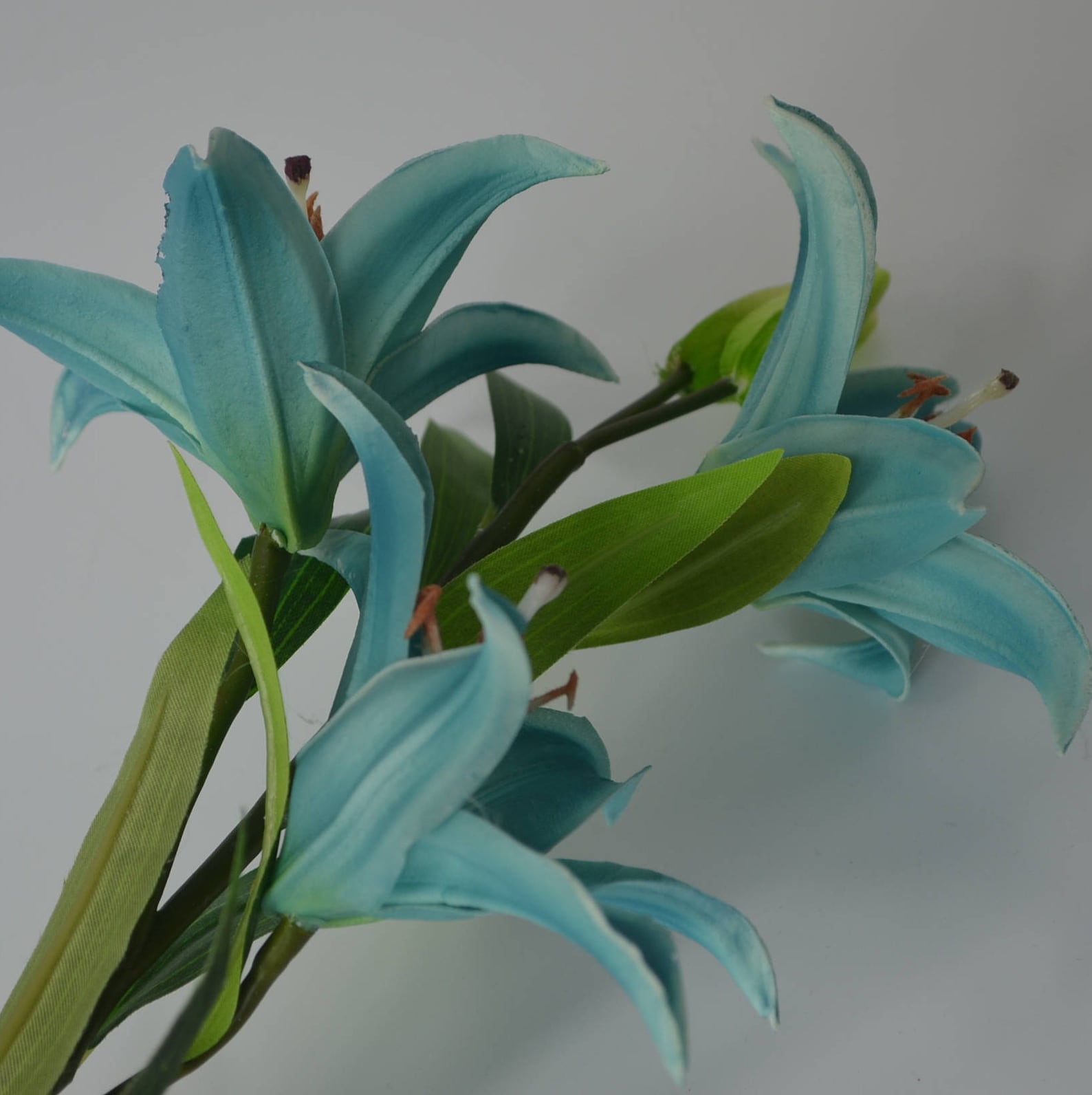 Teal Tiger Lilies Real Touch Flowers DIY Wedding Bridal | Etsy