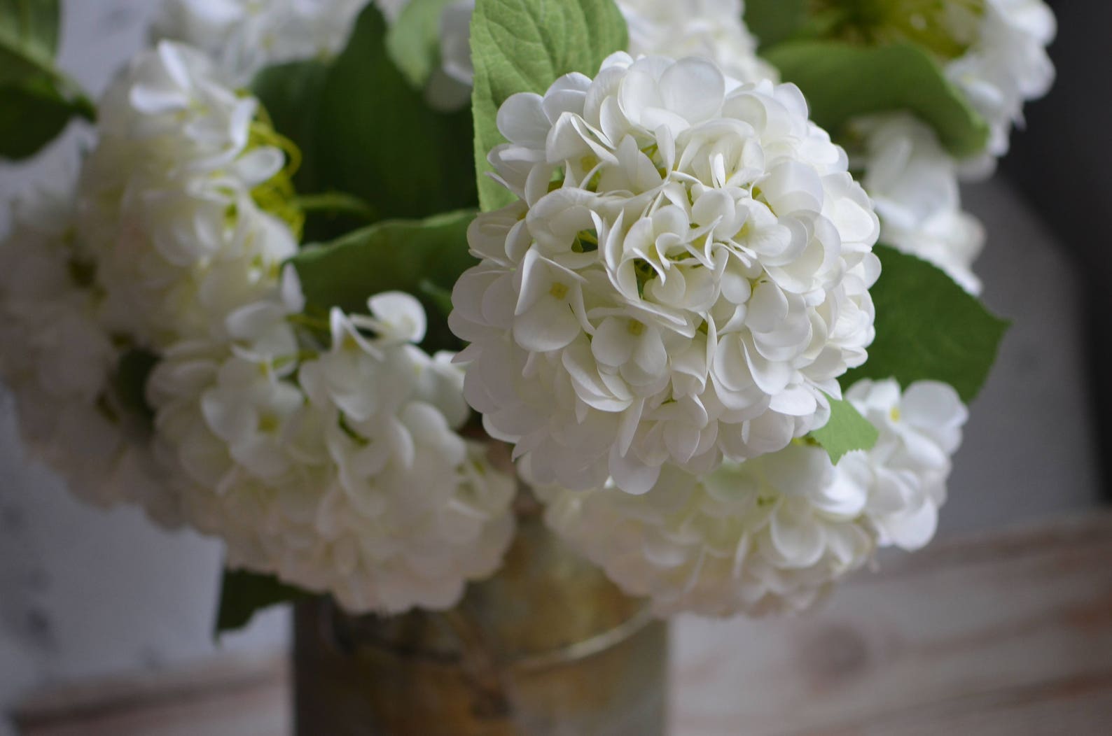 White Cream Hydrangeas Real Touch Hydrangeas DIY Silk Wedding - Etsy Canada