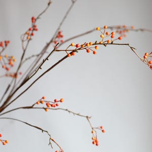 55" Faux Orange Berry Branch Stem, Decorative Plant Stem, Minimalist ...