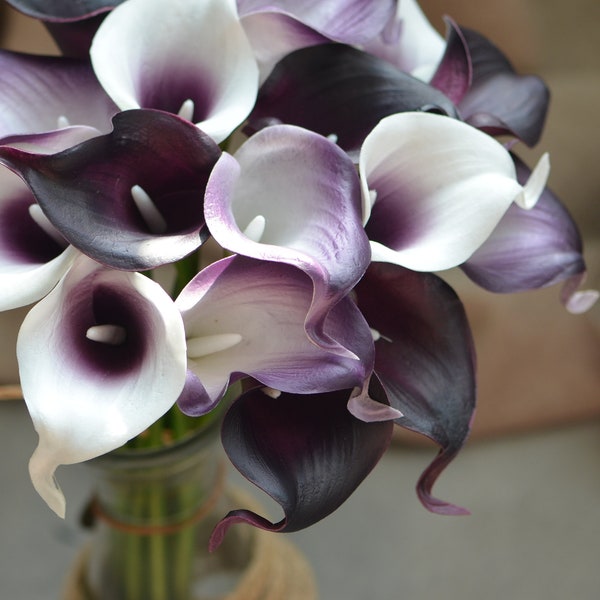 Plum Calla Lilies - Etsy