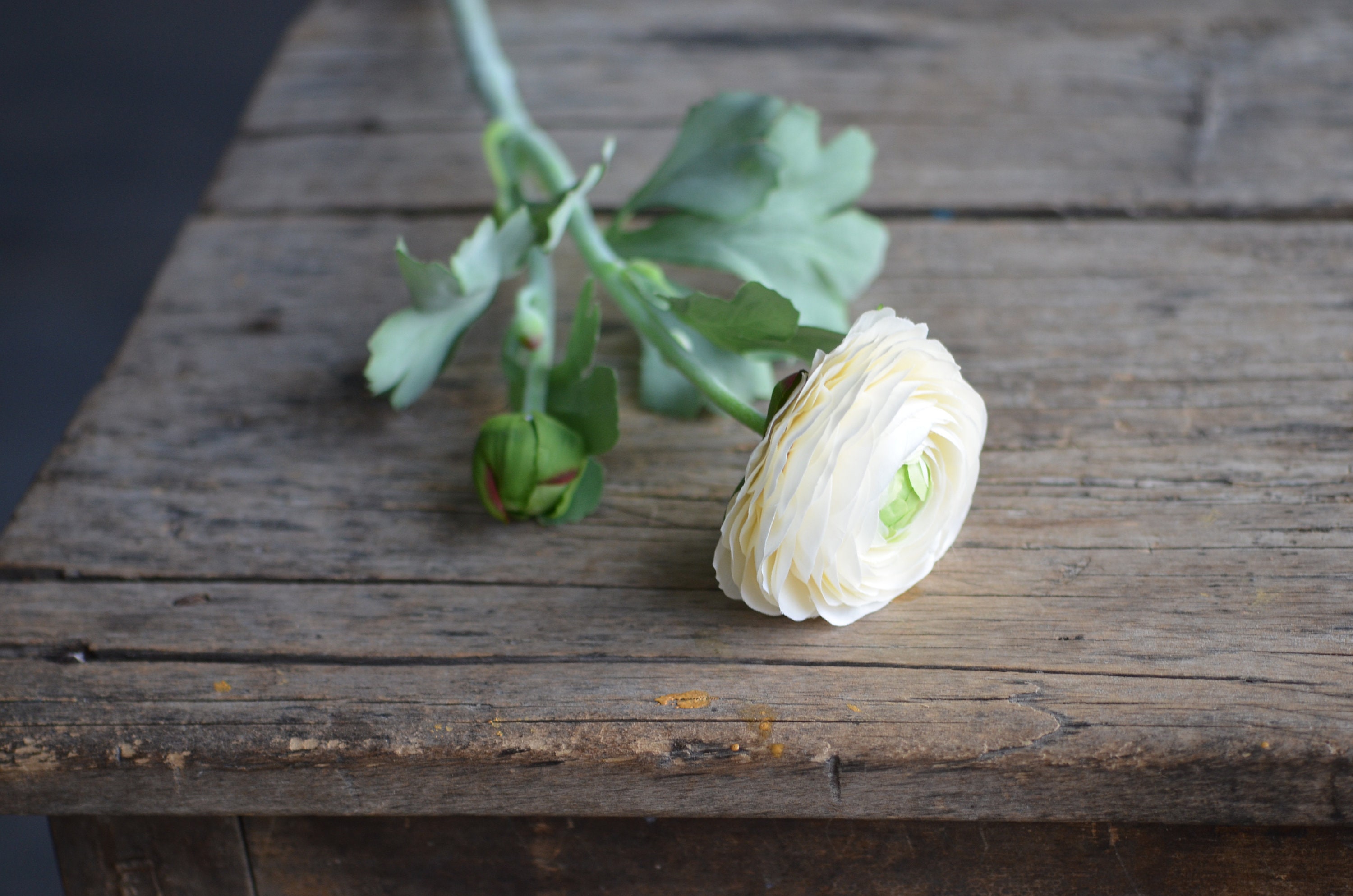 19 Artificial Ranunculus Soft Ranunculus Orange Pink - Etsy