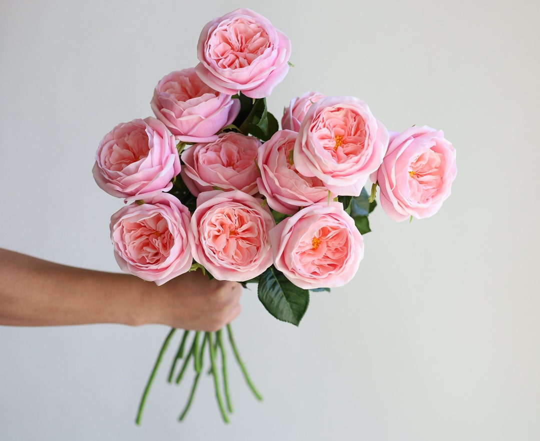18.9” Faux Real Touch English Cabbage Roses-pink, Realistic Fake ...
