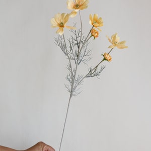 23.5" Fake Cosmos Wildflowers Branch in Soft Yellow & Champagne, Spring ...
