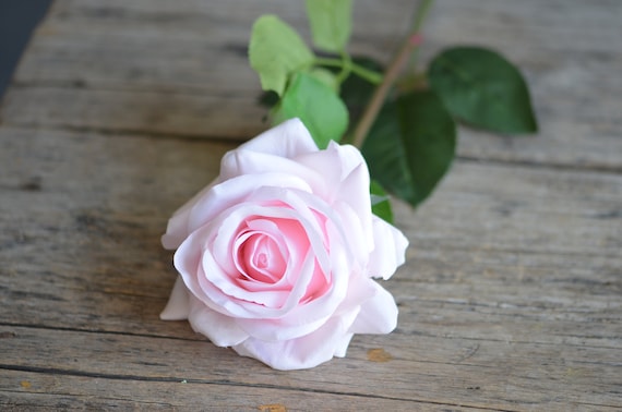 Pink Real Touch Garden Roses Soft Baby Pink Artificial Roses - Etsy