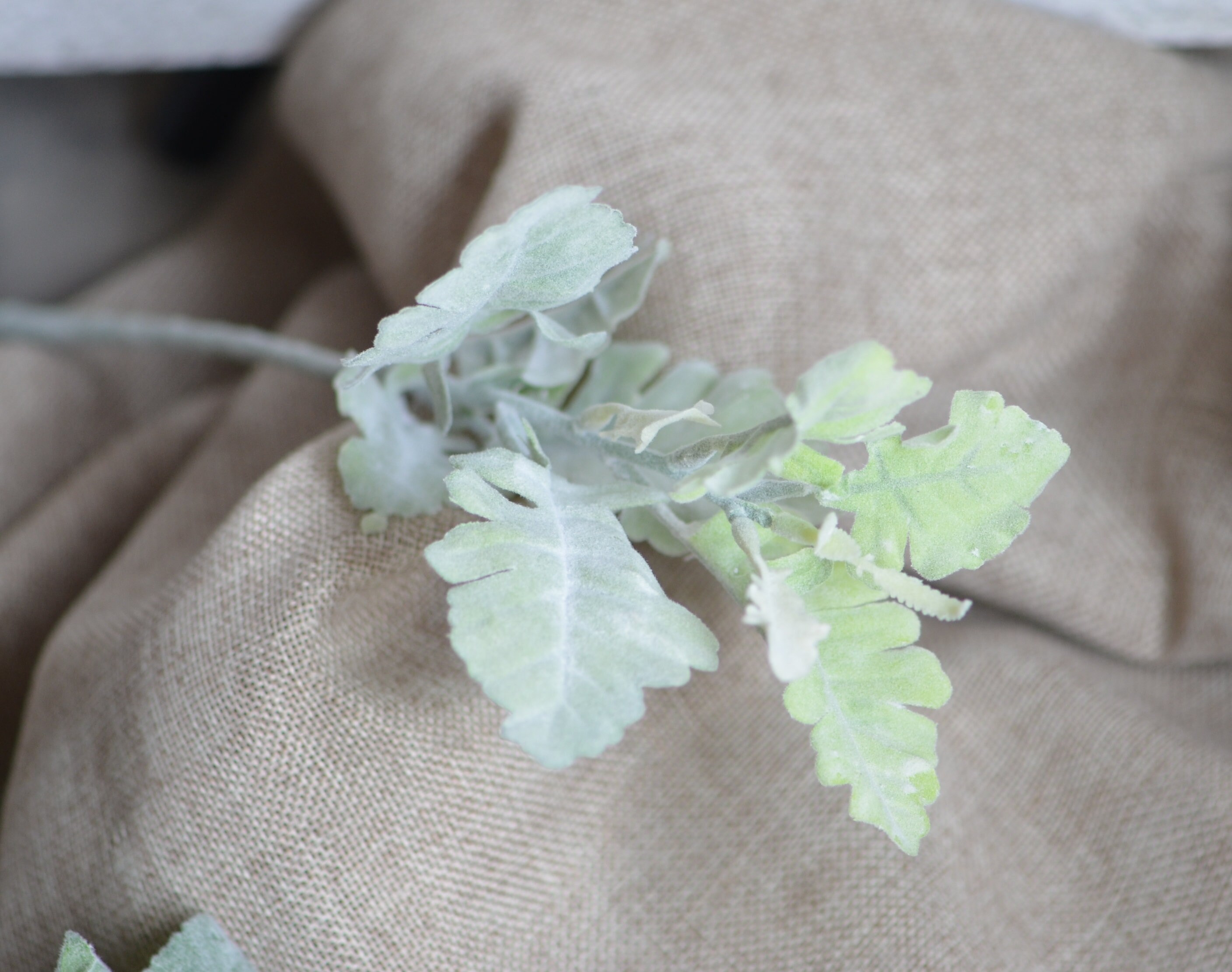 Flocked Leaves, Silver Oak Leaves, Artificial Greenery, Dusty Miller ...