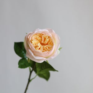 18.9” Faux Real Touch English Cabbage Roses-white/champagne/pink ...