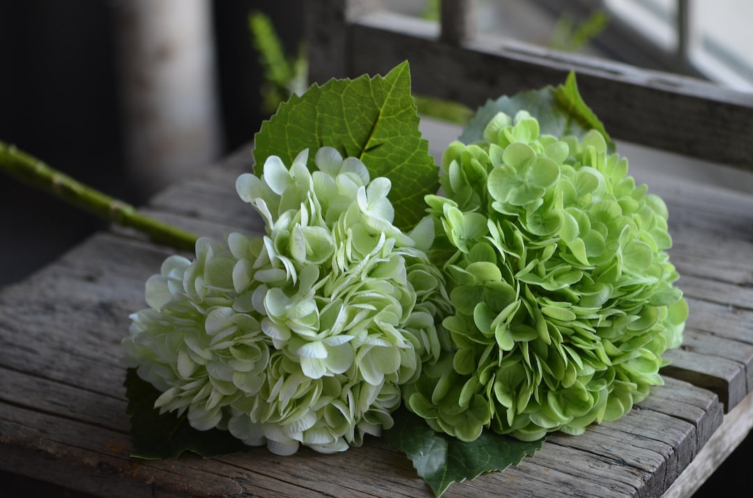 20" Real Touch Huge Green Hydrangea Stem, Luxry Realistic Artificial ...