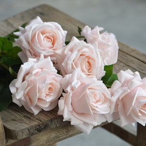 29.5 Soft Blush Pink Real Touch Roses High Quality - Etsy