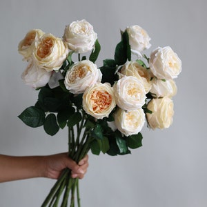 24” Faux Real Touch English Cabbage Roses-ivory, Extremly Realistic ...