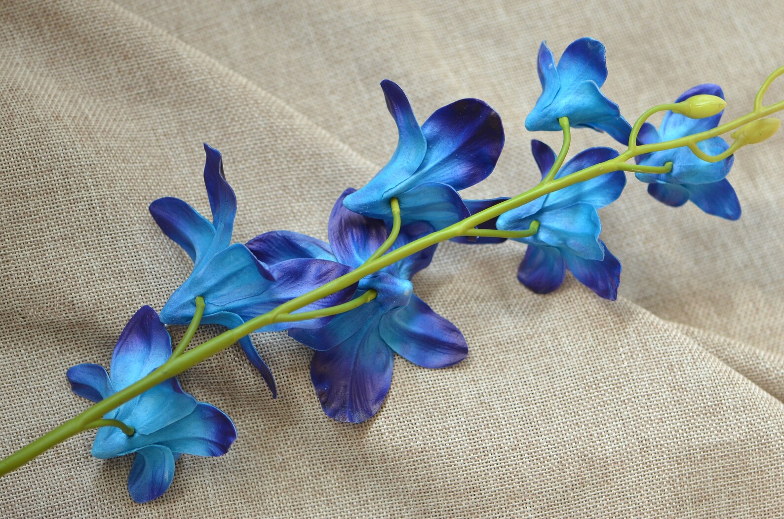 Dark Turquoise Purple Orchids Real Touch Thailand Orchids DIY | Etsy