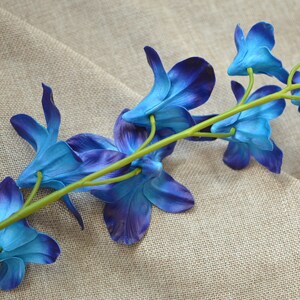 Dark Turquoise Purple Orchids Real Touch Thailand Orchids DIY ...