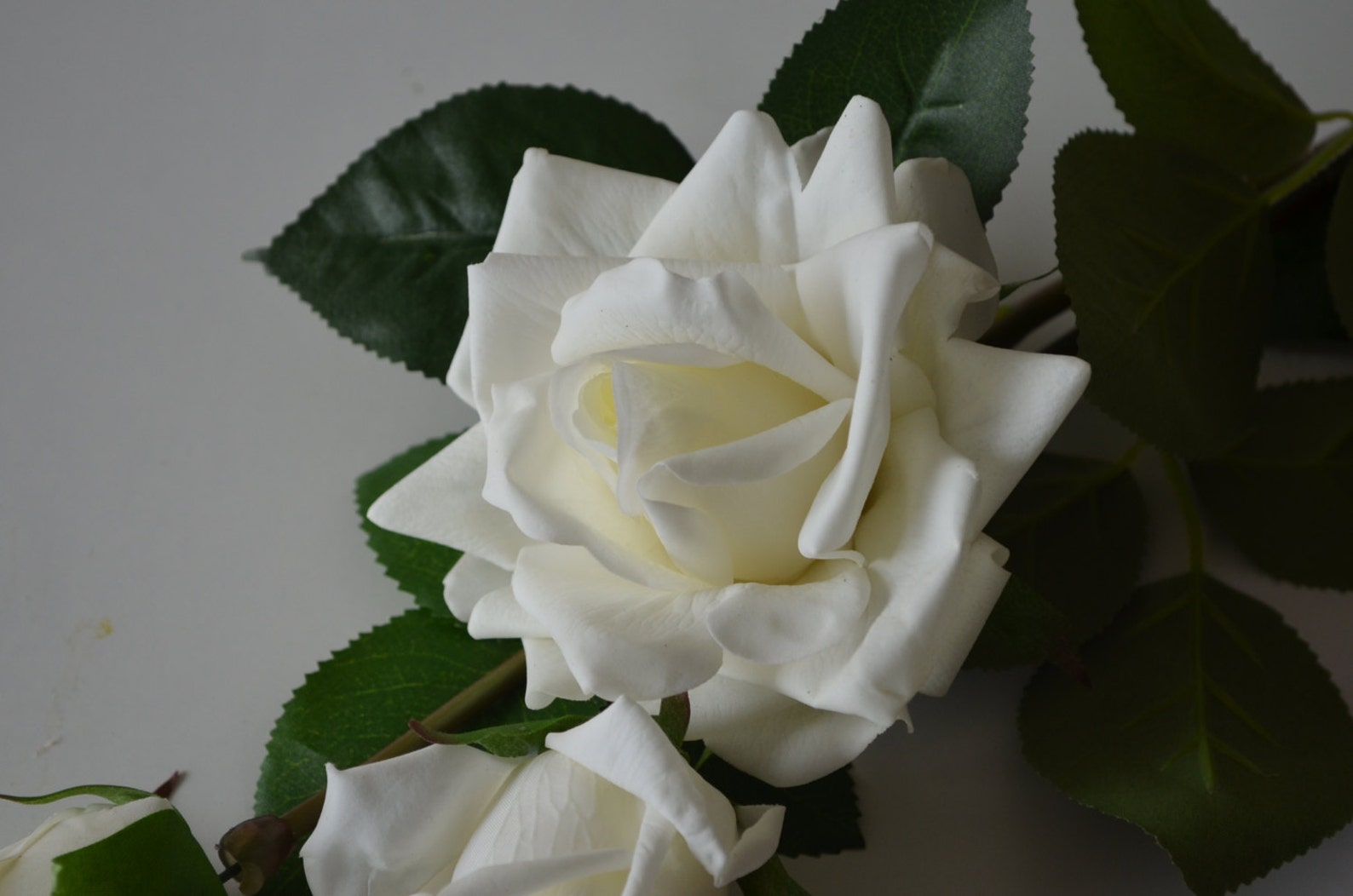 Cream White Roses Real Touch Roses, Stems 3 Heads/stem, DIY Florals ...