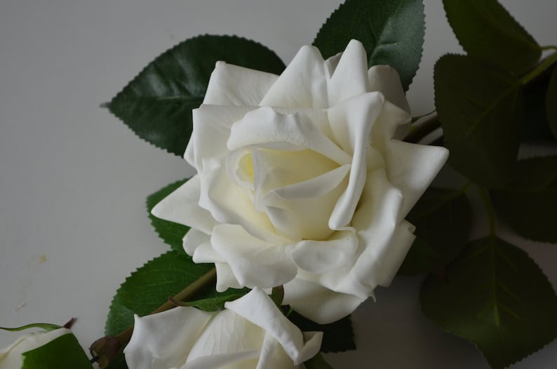 Cream White Roses Real Touch Roses Stems 3 Heads/stem DIY - Etsy