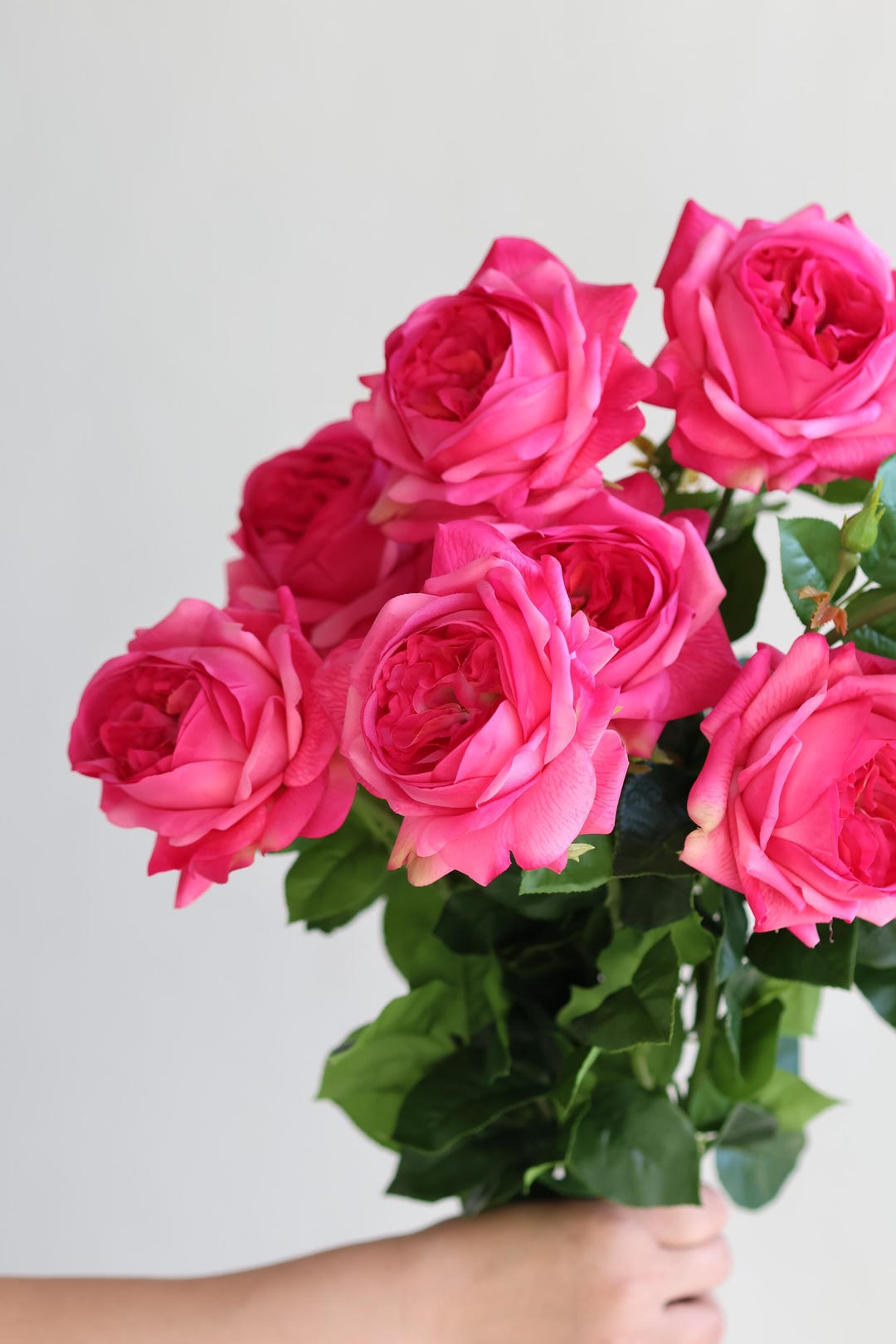 26.3" Faux Real Touch Hot Pink Cabbage Roses, Artificial Garden Rose ...