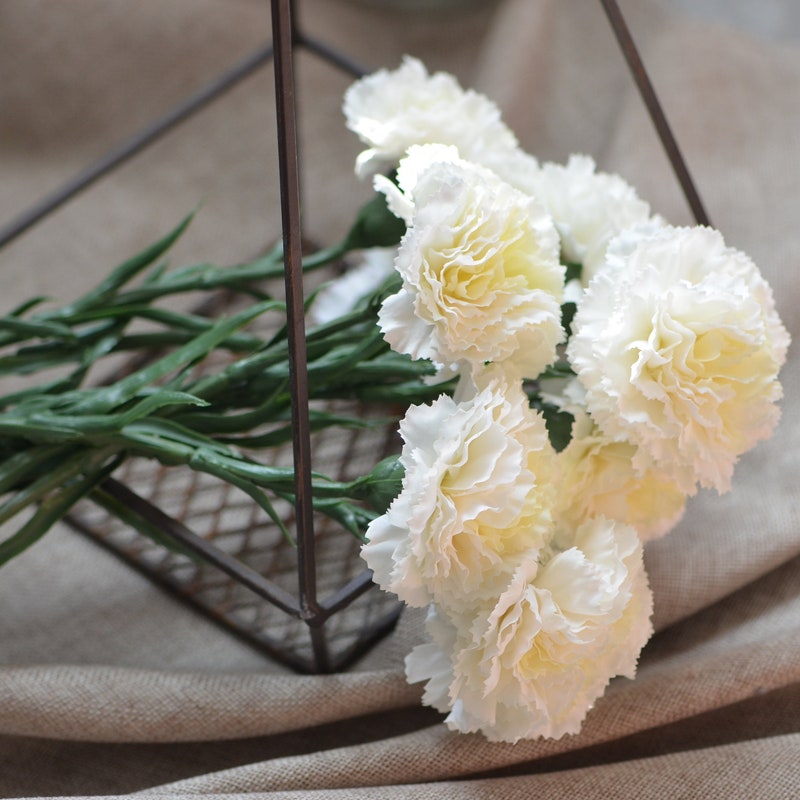 Carnation Corsage - Etsy