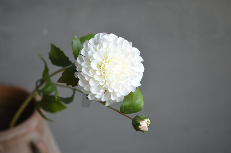 Faux Dahlia, White Dahlia Flowers, Gradient Red Burgundy Colors Dahlia ...