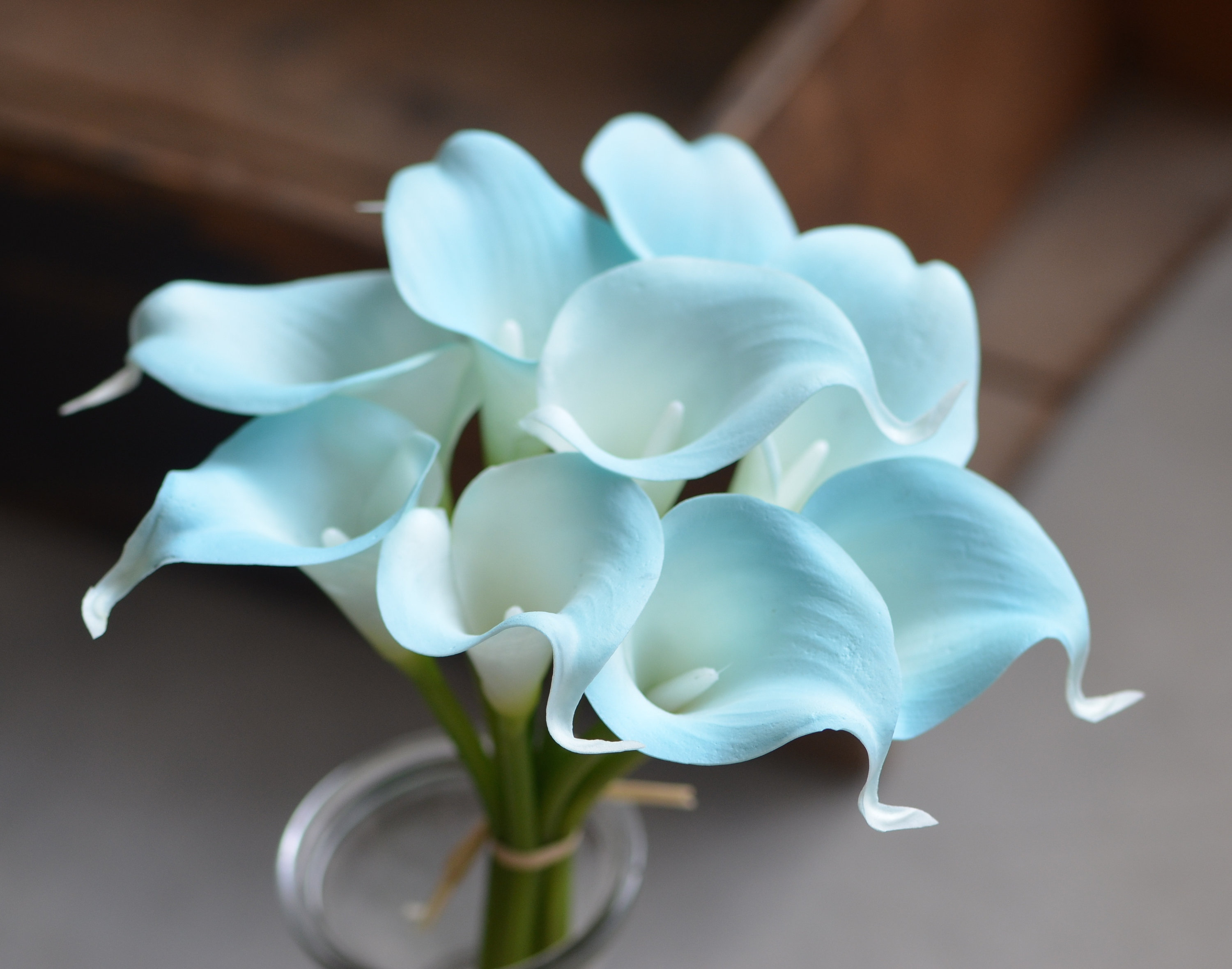 Egg Blue Turquoise Calla Lilies Real Touch Callas for DIY - Etsy