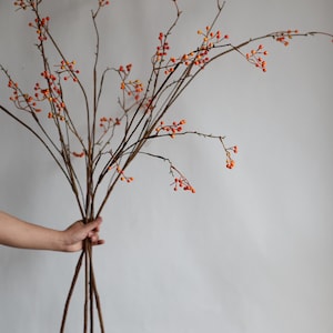 55" Faux Orange Berry Branch Stem, Decorative Plant Stem, Minimalist ...