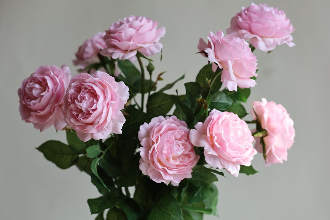 25.5" Faux Soft Pink Real Touch Cabbage Roses, High-quality Artificial ...