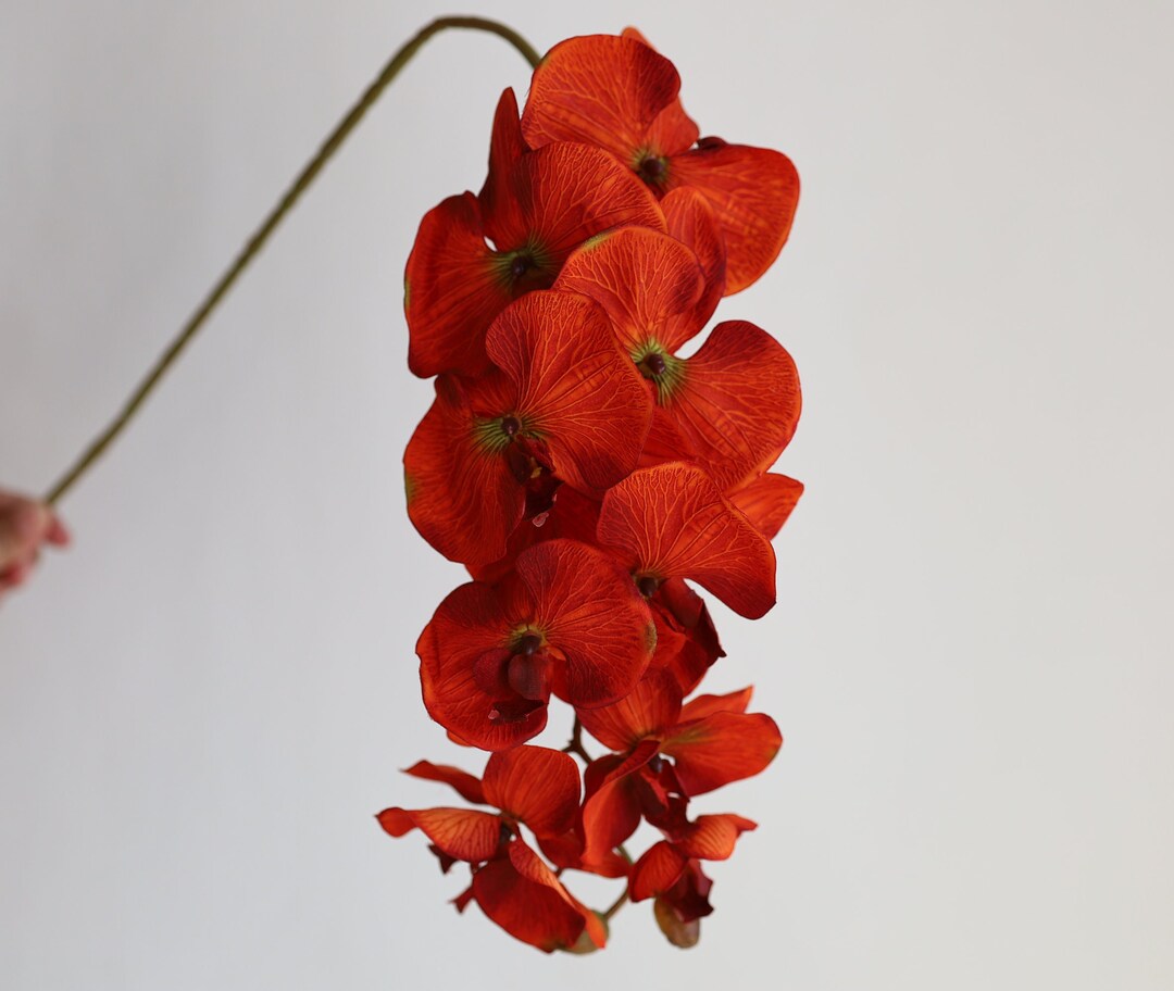 36.6" Fake Orchids in Orange-10heads, Artificial Phalaenopsis Orchid ...