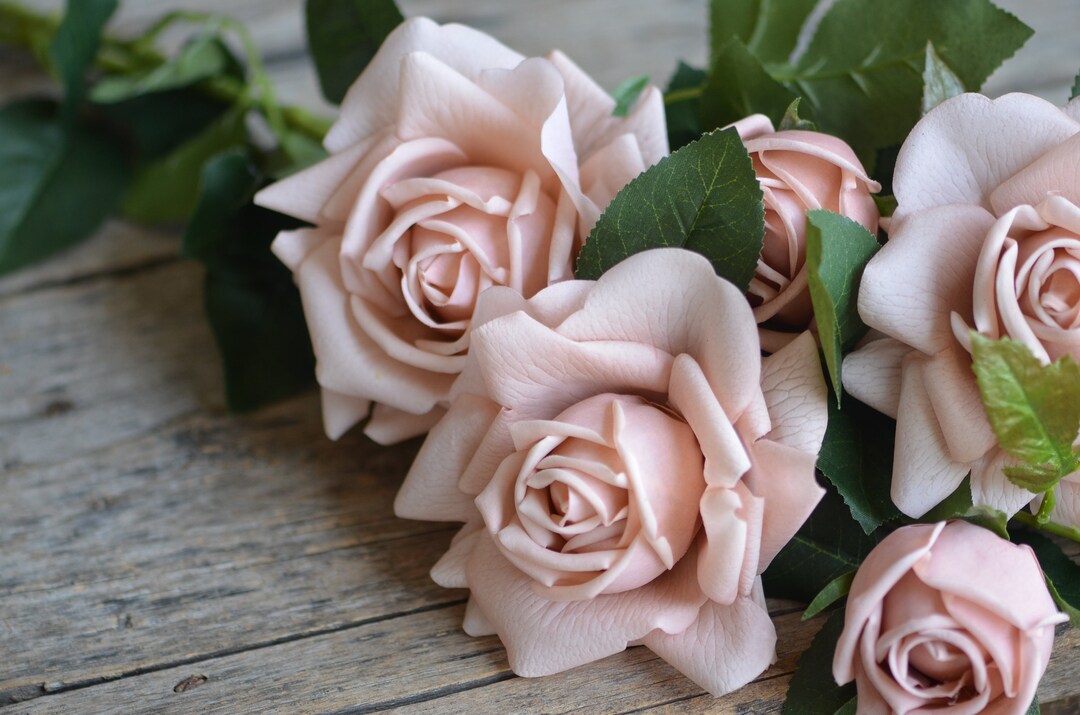 35" Dusty Rose Beige Real Touch Faux Roses, DIY Florals Supply ...