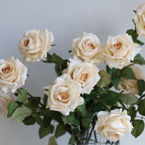 29.5" Ivory Beige Faux Real Touch Roses, Bone White Artificial Flowers ...