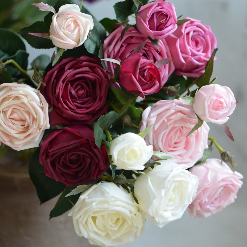 Cabbage Roses - Etsy