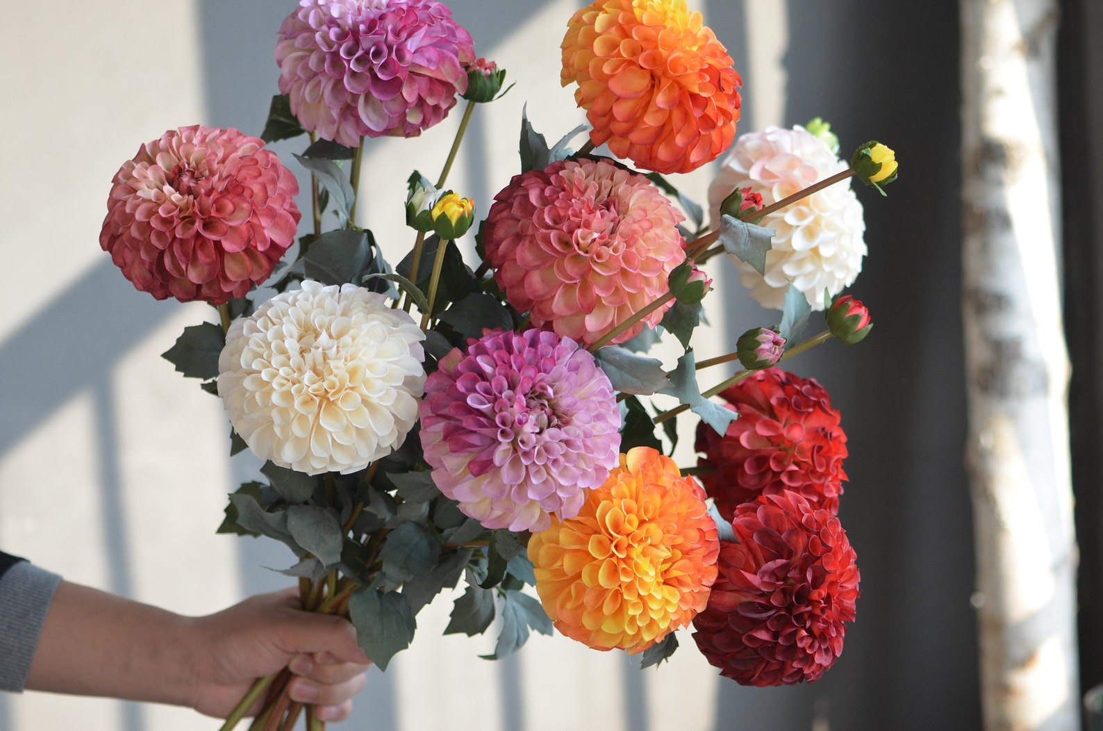 Gradient Colors Dahlia, Artificial Dahlia Flowers, Big Ivory Dusty Pink ...