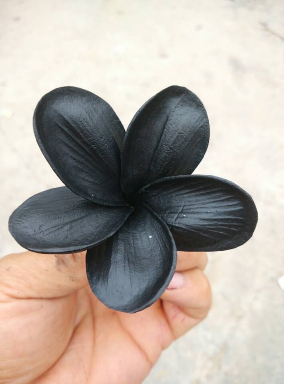 Black Plumeria