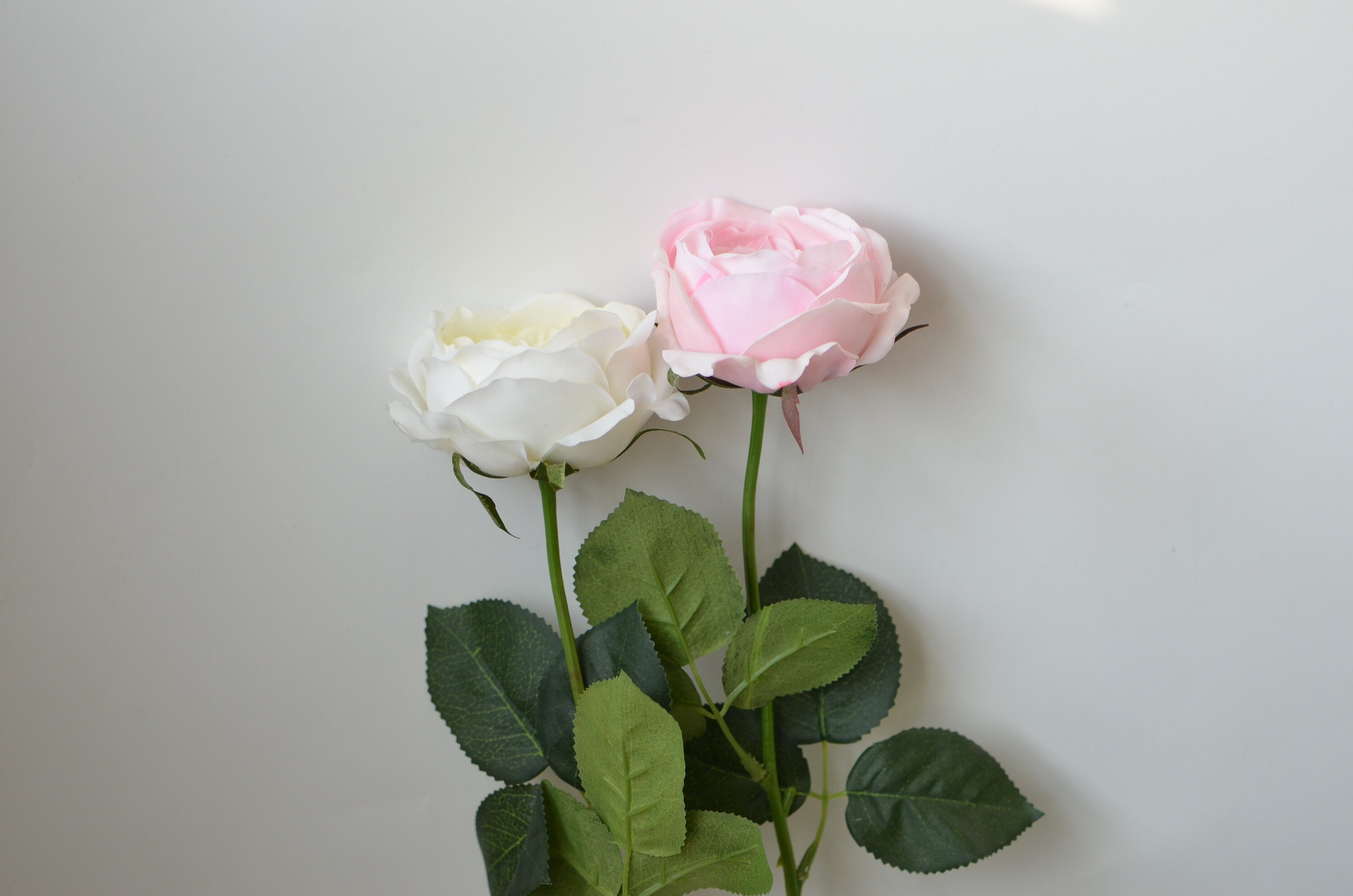 Ivory Pink Cabbage Roses Real Touch Roses DIY Silk Bridal | Etsy