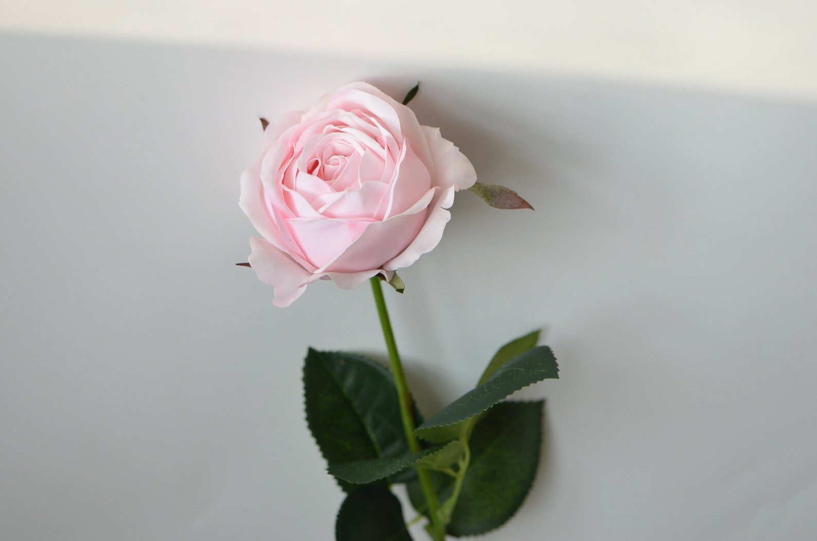 Rose di cavolo rosa avorio, rose di seta Real Touch, bouquet da sposa ...