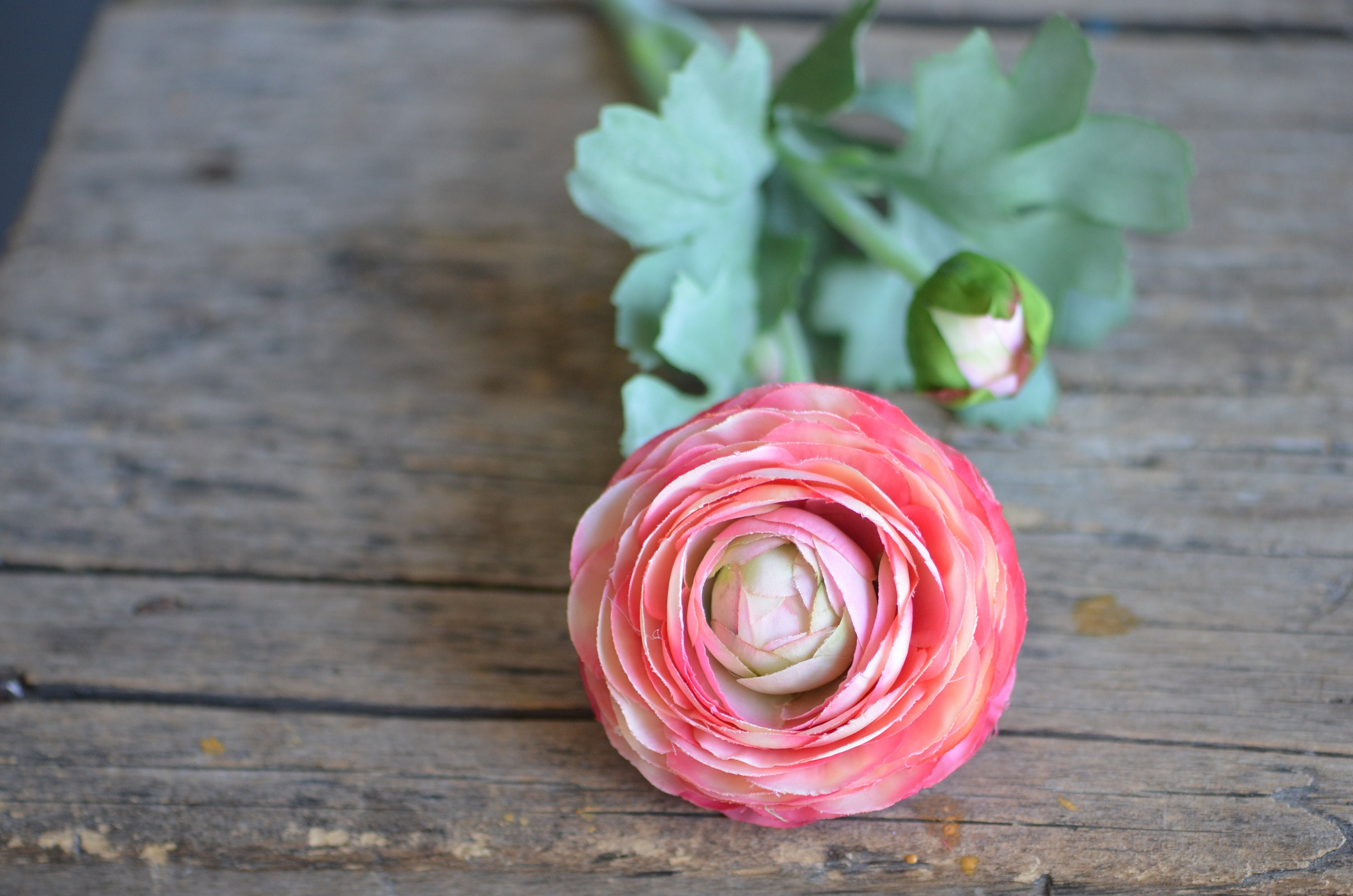 19 Artificial Ranunculus Soft Ranunculus Orange Pink - Etsy