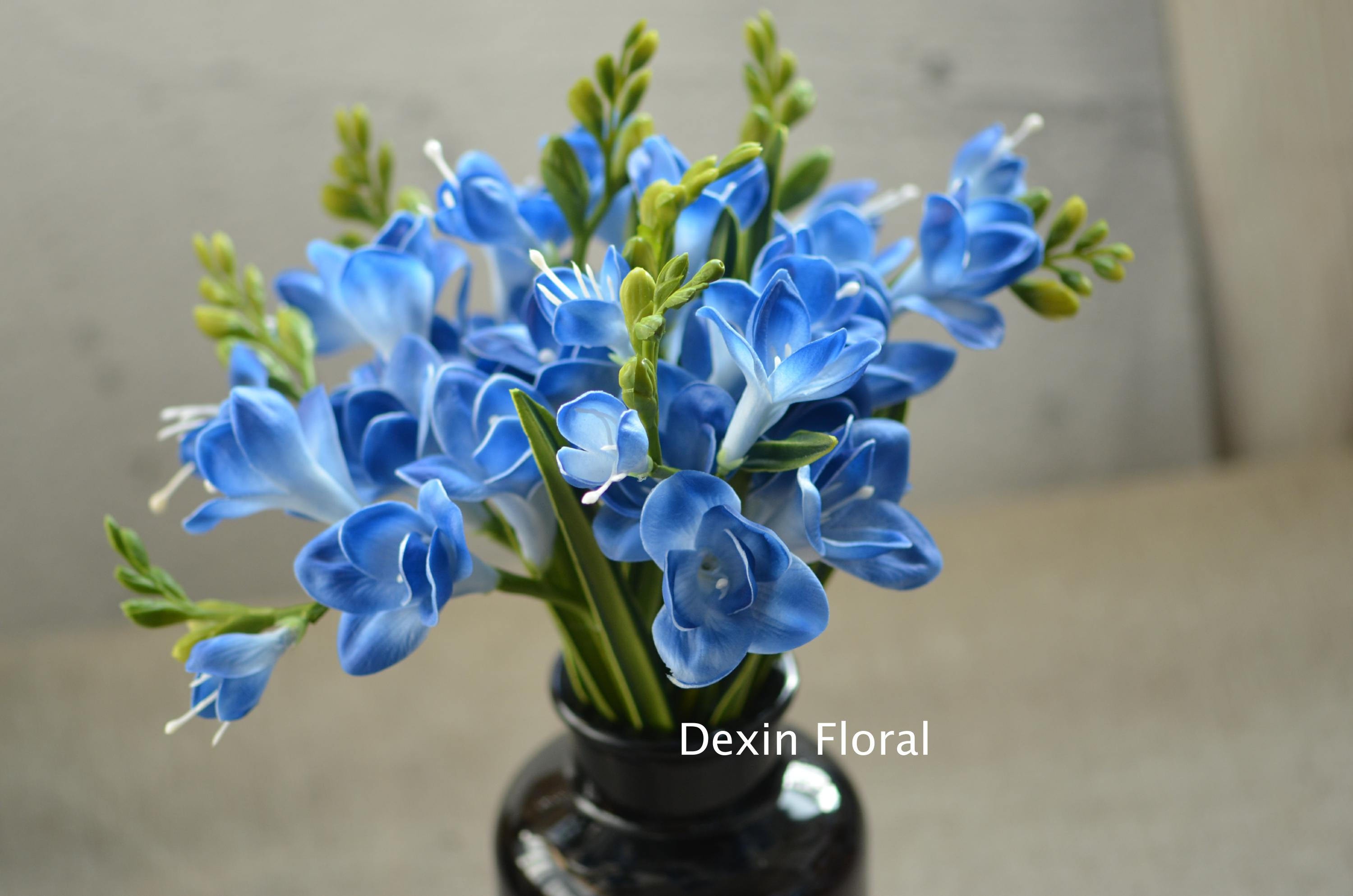 Blue Freesia Flower