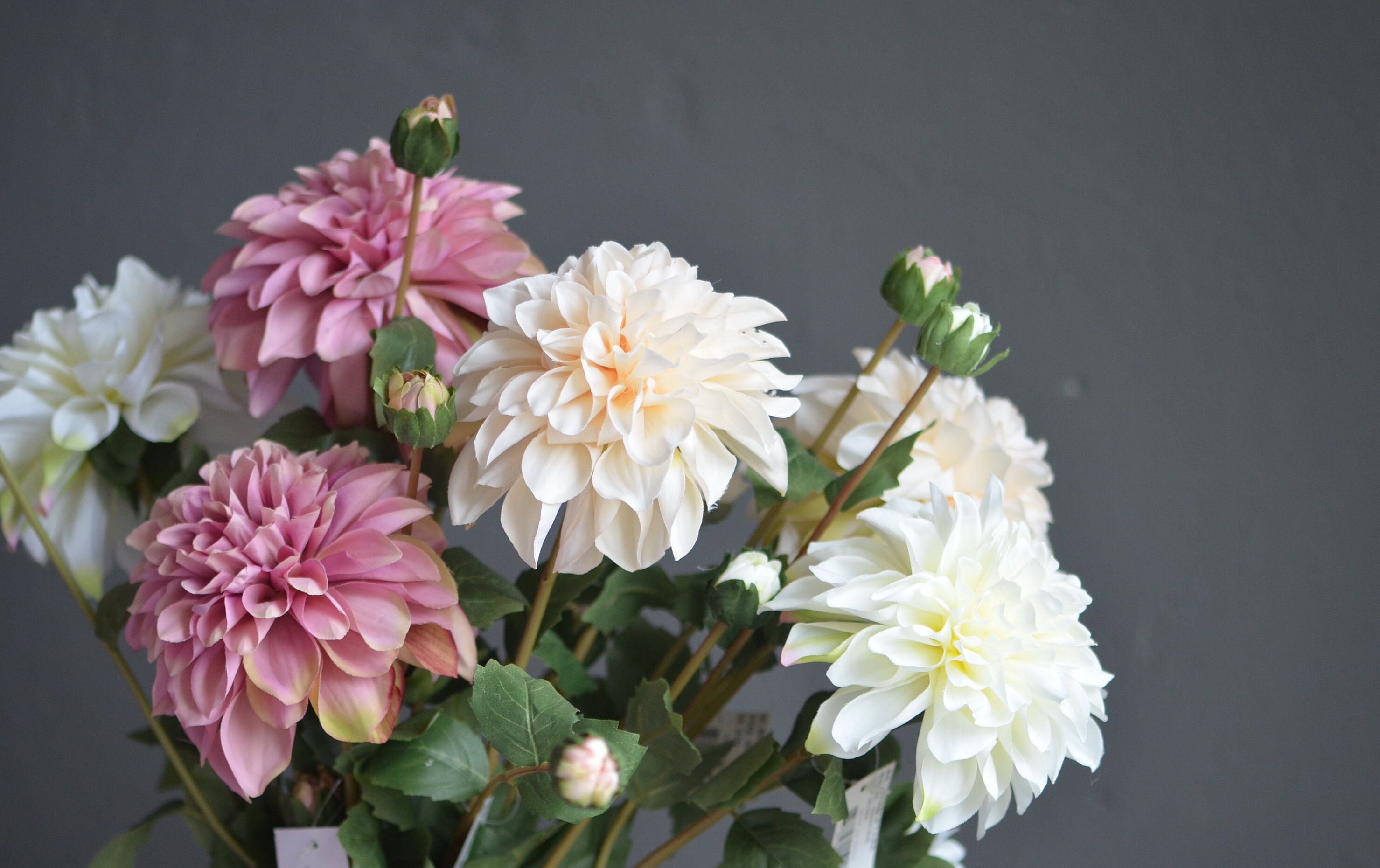 Dust Pink Ivory Faux Dahlia White Dahlia Flowers Gradient | Etsy