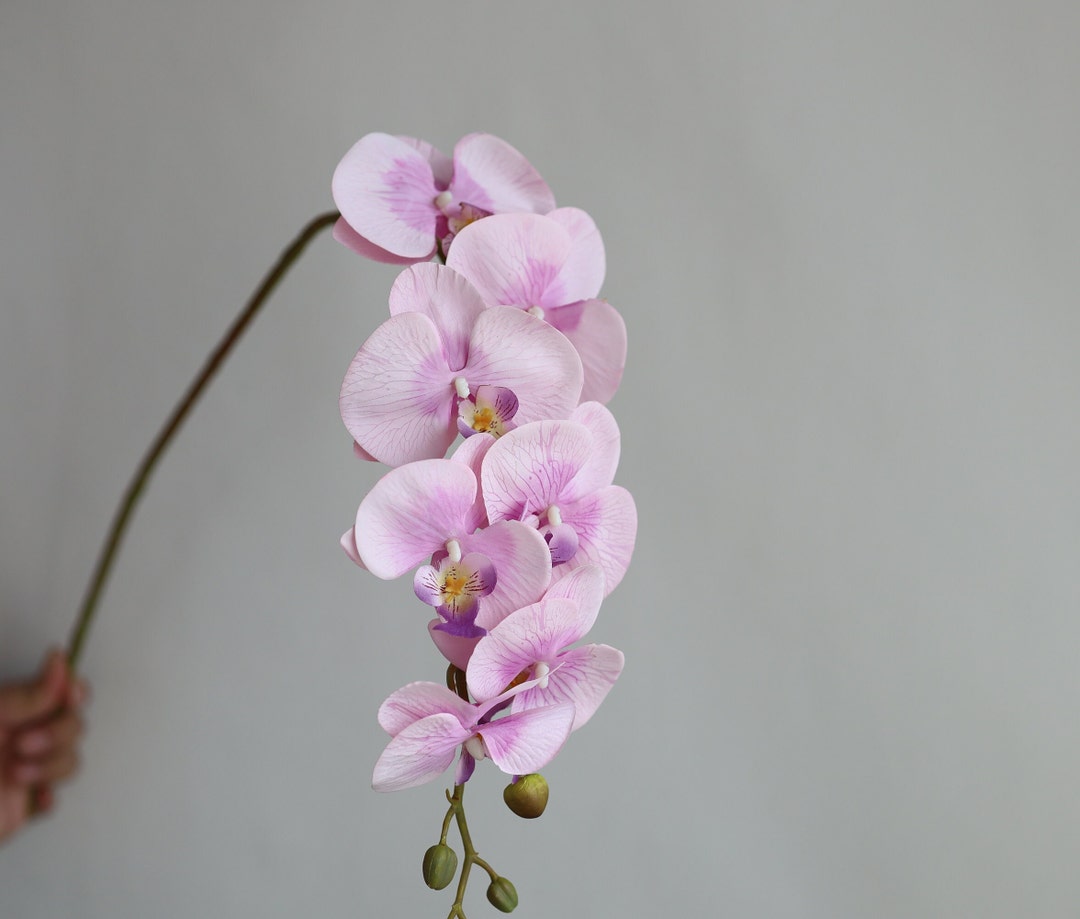 35" Fake Orchids in Lilac Pink, Artificial Phalaenopsis Orchids Stem ...