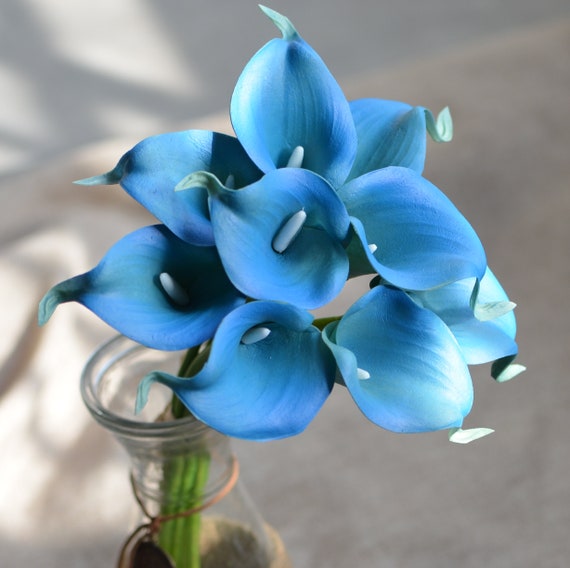 9 Dark Turquoise Blue Calla Lily Blue Real Touch Calla Lilies | Etsy