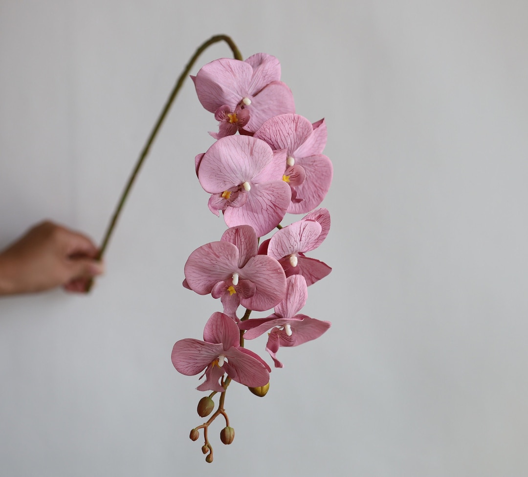 35" Fake Orchids in Dusty Pink, Artificial Phalaenopsis Orchids Stem ...