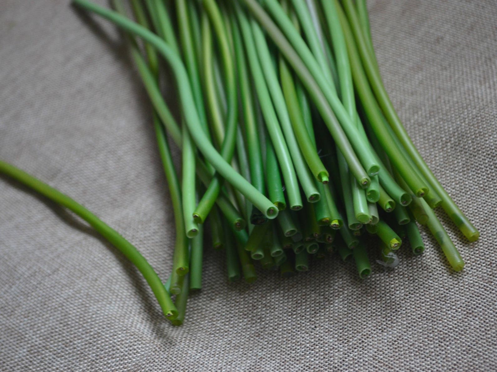 100 Stems, Artificial Plastic Stems, DIY Wedding Bouquets - Etsy UK