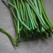 100 Stems, Artificial Plastic Stems, DIY Wedding Bouquets - Etsy