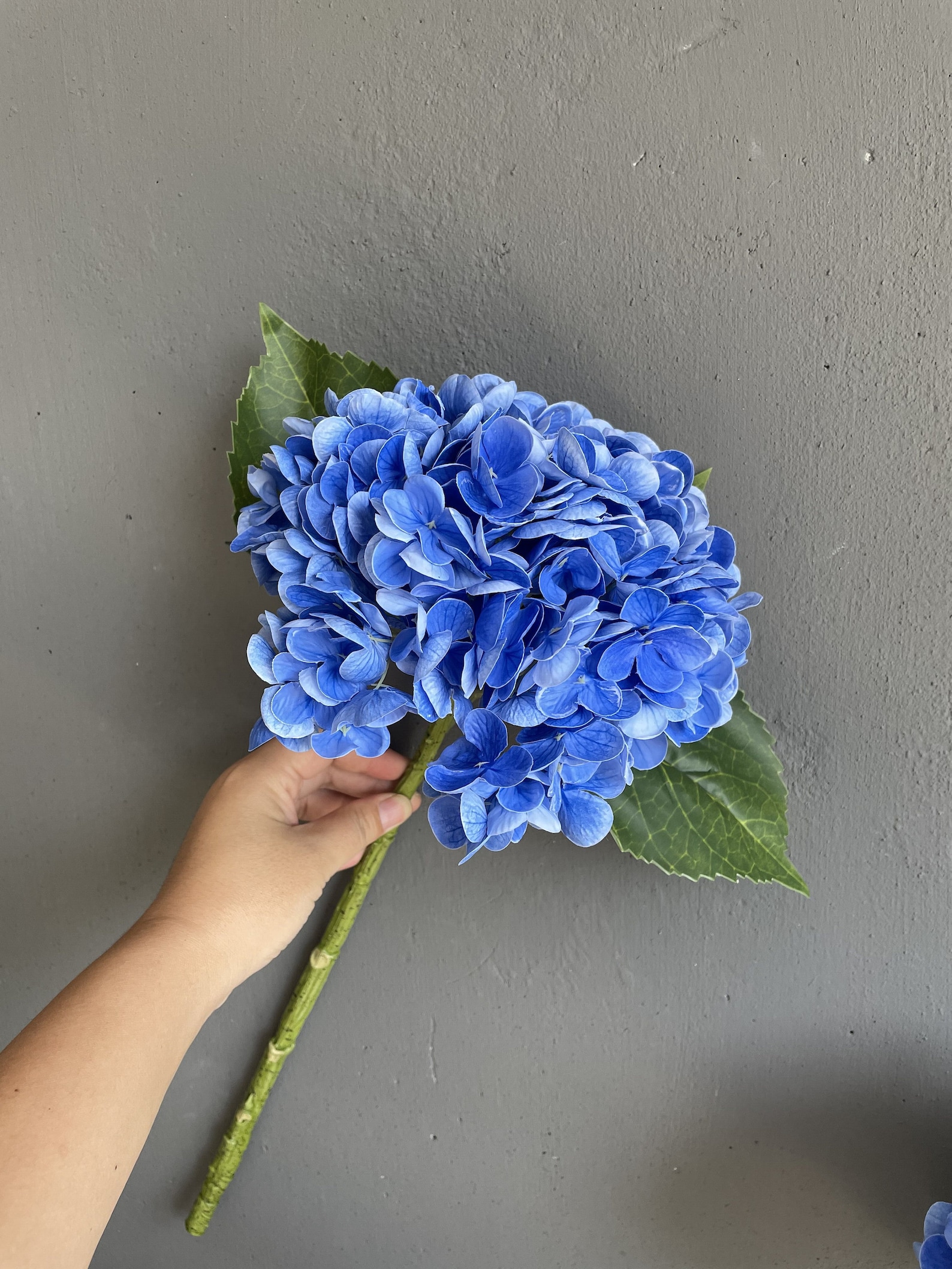 20 Real Touch Blue Hydrangea Stem High Quality - Etsy