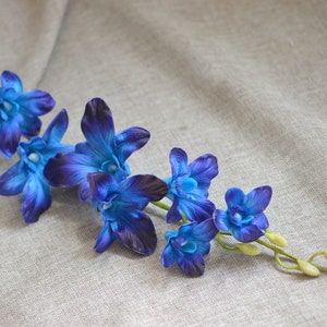 Dark Turquoise Purple Orchids Real Touch Thailand Orchids DIY ...