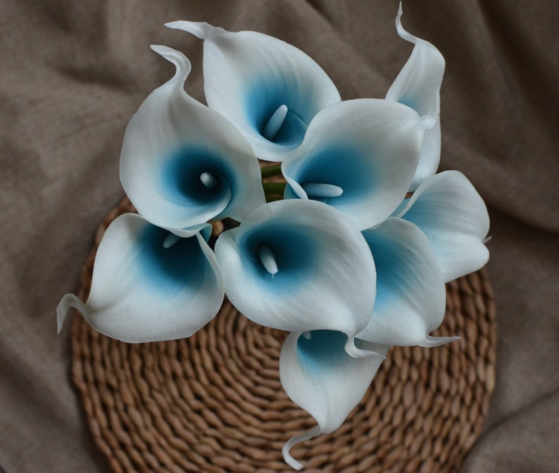 9 Malibu Picasso Calla Lily Blue Real Touch Calla Lilies DIY Wedding ...