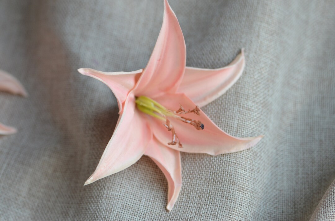 Blush Tiger Lily Head, Lily Blooms, Real Touch Flowers Heads, DIY ...