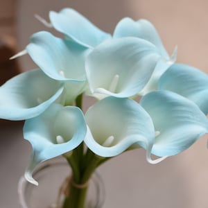 Egg Blue Turquoise Calla Lilies Real Touch Callas for DIY Wedding ...